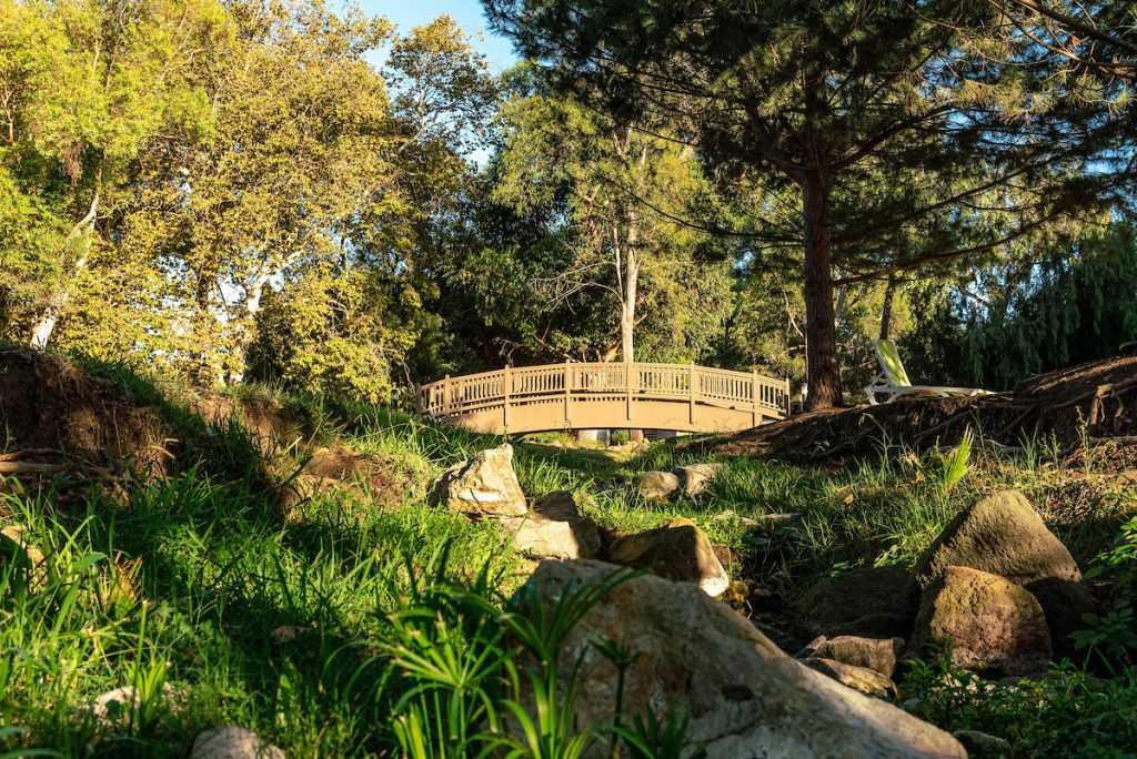 Barbara Collins Arboretum - Homecoming | Cal Lutheran